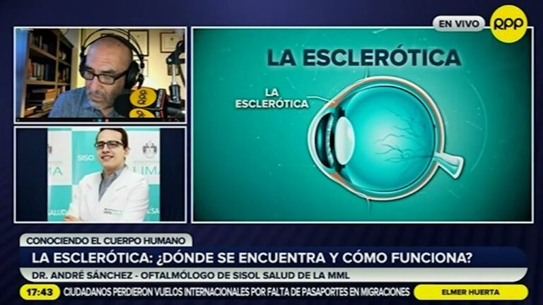 Descubre qué se encuentra entre la retina y la esclerótica: Todo lo que ...