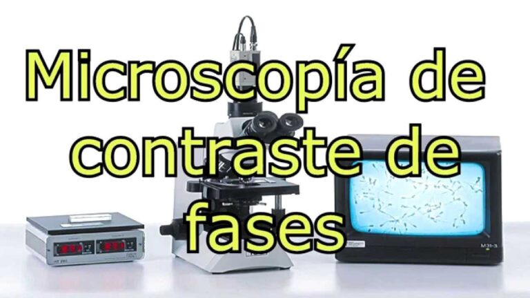 Preparación de Muestras para Microscopio de Contraste de Fases: Guía ...